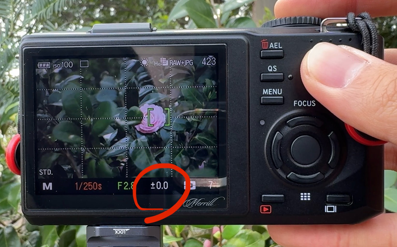 【レビュー】SIGMA DP2 Merrillを3ヶ月使ったリアルな感想｜作例｜コンデジの完成系 - Photography Blog